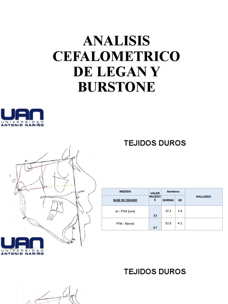 Análisis Cefalométrico de Legan y Burstone | PDF | Cara | Diente