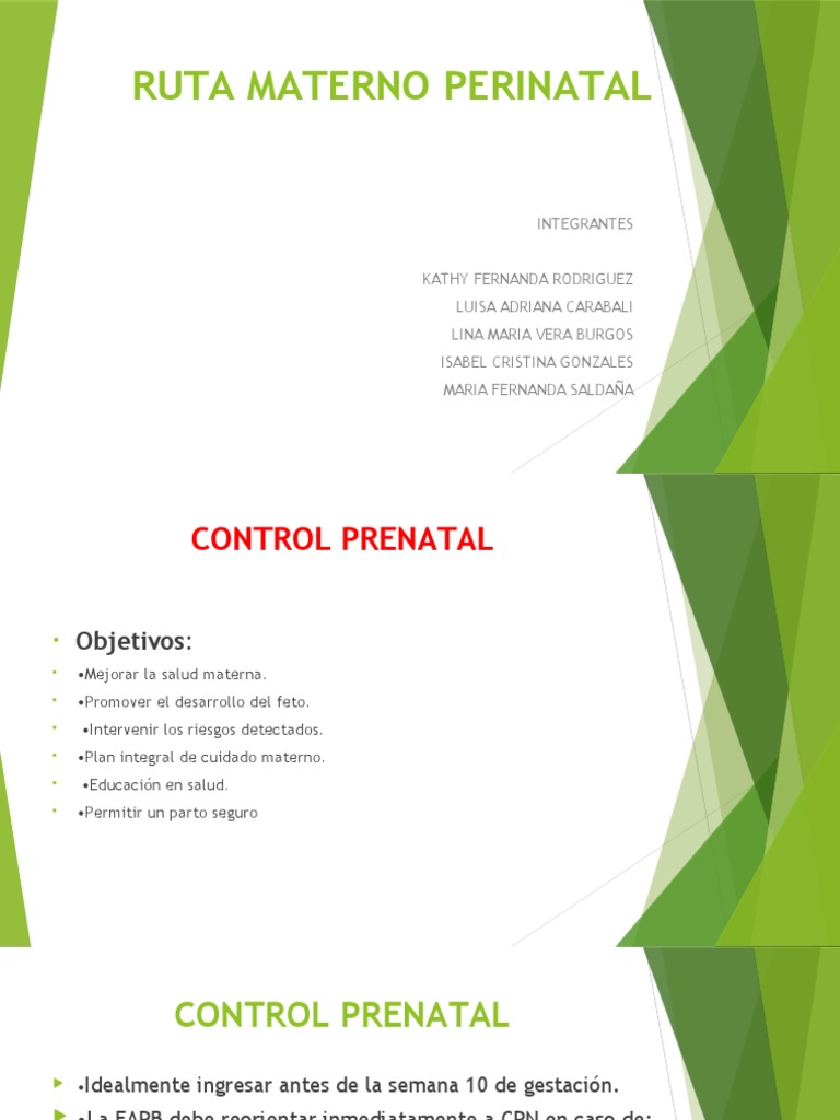 Ruta Materno-Perinatala - Resolucion 3280 | PDF | Periodo posparto | Parto