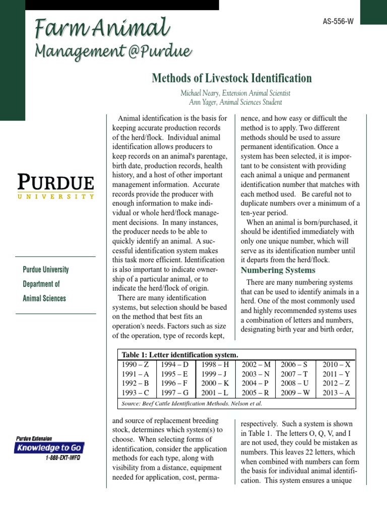 Livestock Identification Methods | PDF | Animals And Humans | Livestock