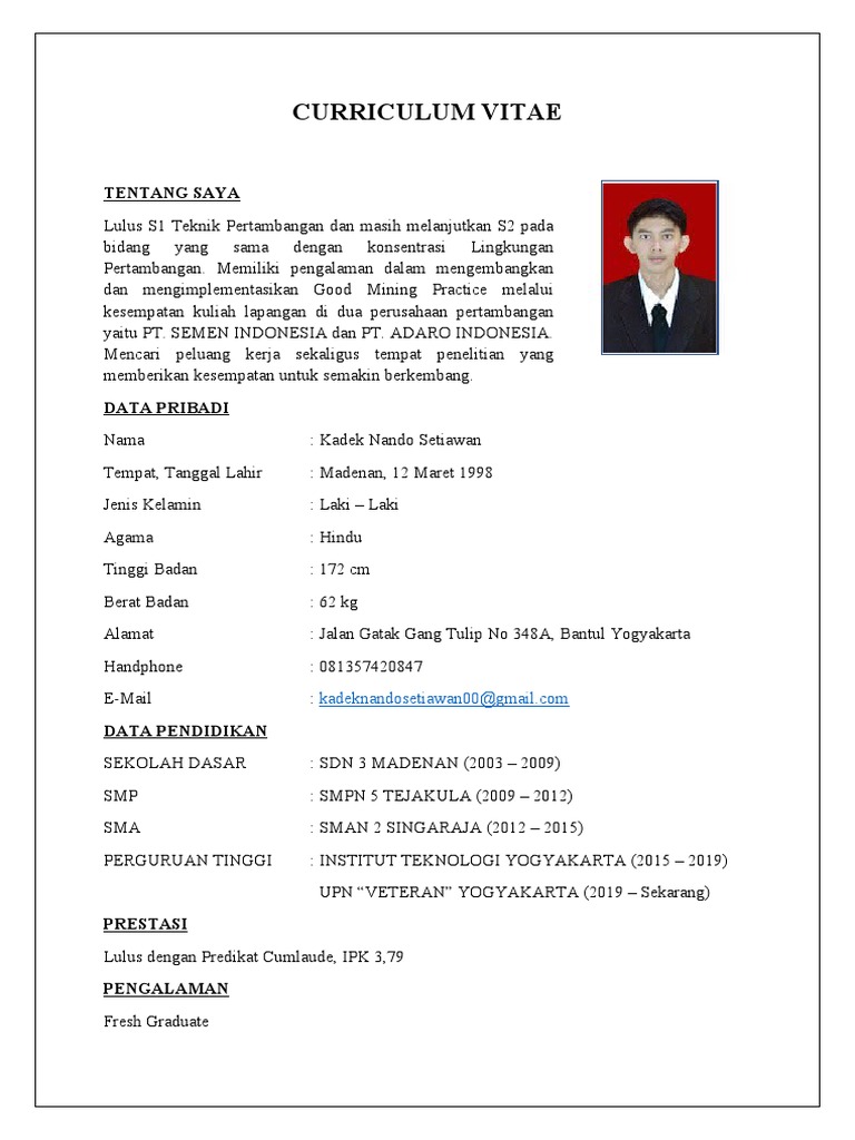 CURRICULUM VITAE - Kadek Nando Setiawan | PDF