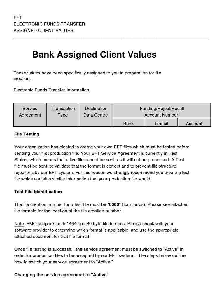 Bank Assigned Client Values: File Testing | PDF
