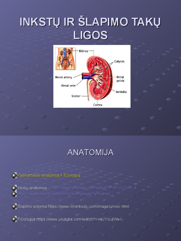 Inkstu Ir Slapimo Taku Ligos | PDF