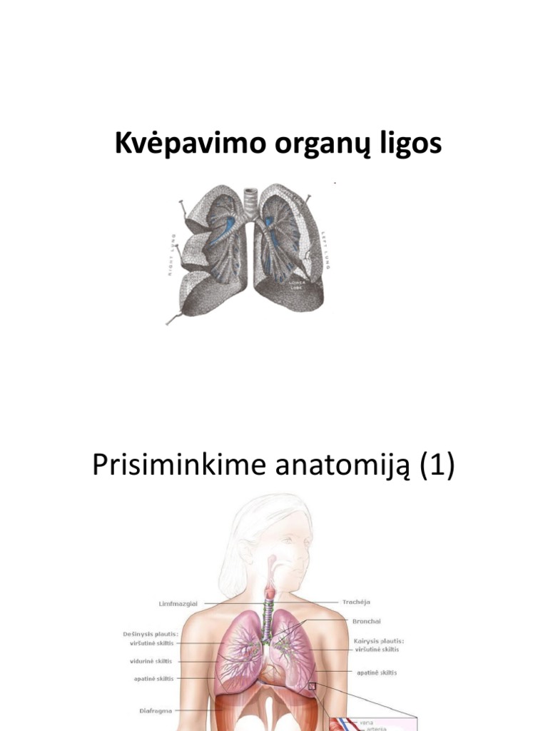 Kvepavimo Organu Ligos | PDF