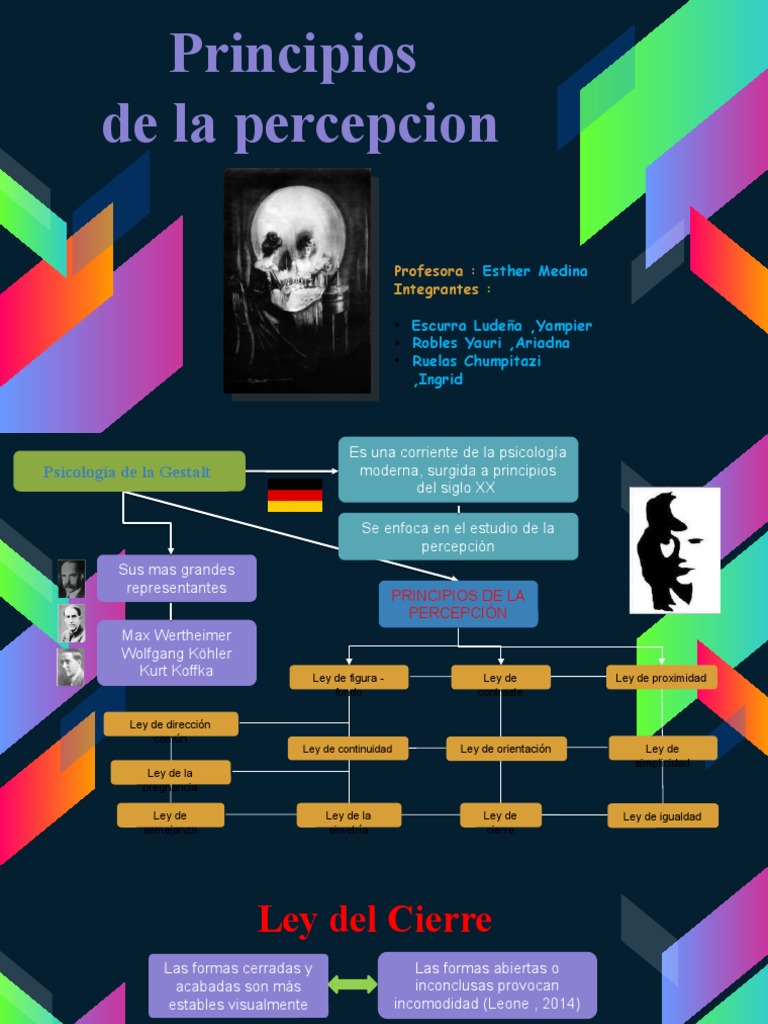 Principios de La Percepcion | PDF | Experiencia subjetiva | Percepción