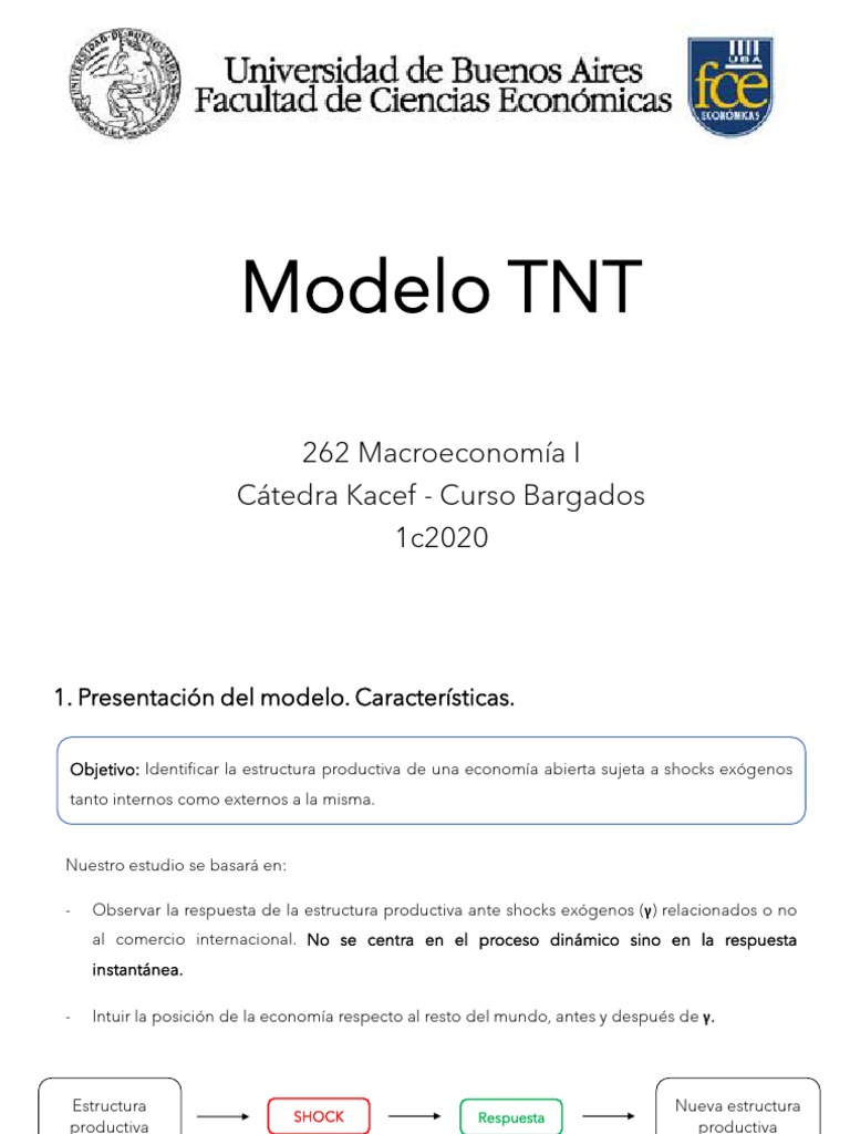 Modelo TNT | PDF | Tipo de cambio | Teoría del equilibrio general
