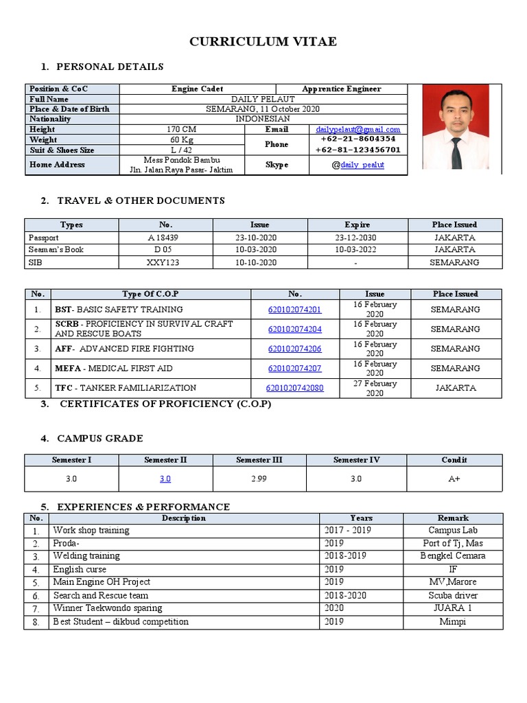 Curriculum Vitae of Daily Pelaut | PDF | Business