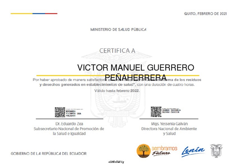 VMGP Gestión Interna de Residuos y Desechos Generados en Establecimientos de Salud 2021 ...