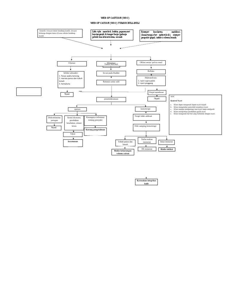 Web of Caution 1 | PDF