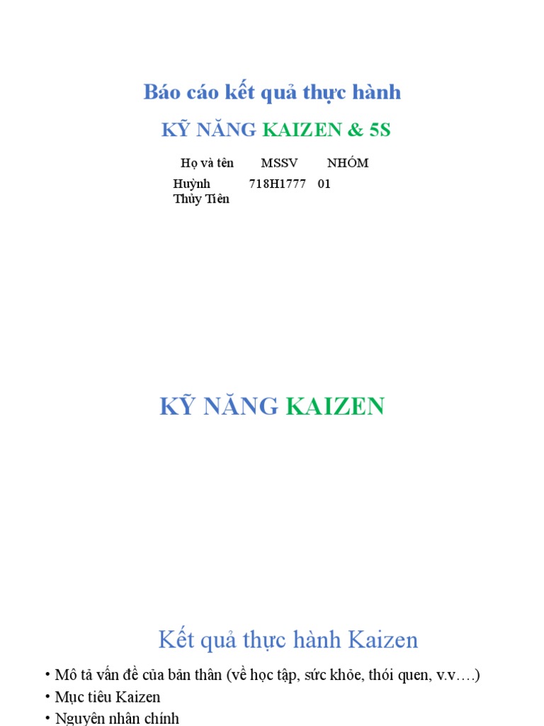 Kaizen 5s | PDF