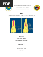 Tratamientos Pulpares en Pacientes Pediátricos | PDF | Especialidades ...