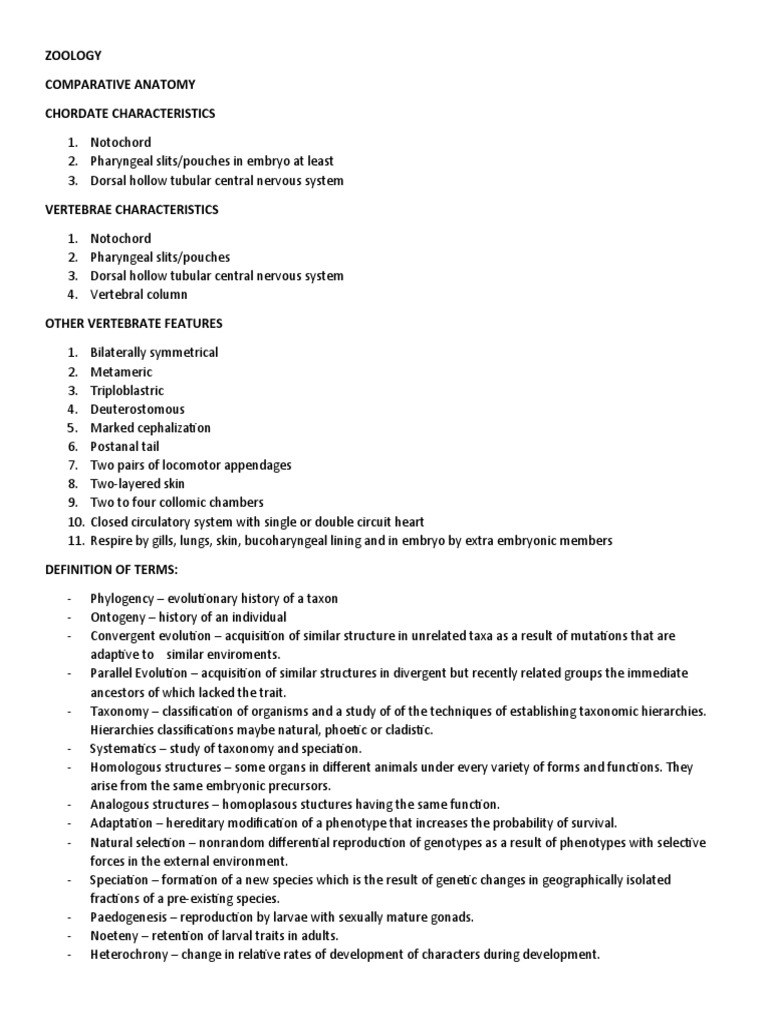 Zoology Comparative Anatomy Chordate Characteristics | PDF ...