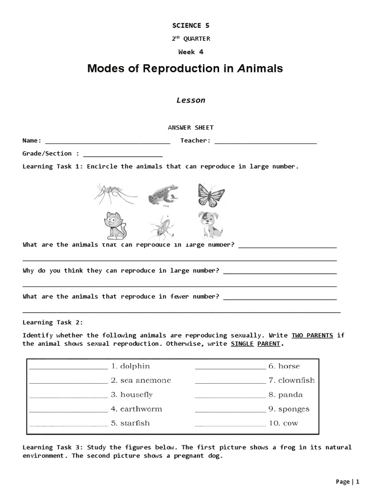 SCIENCE 5 WEEK 4 (2nd Quarter by Sir Ray Marasigan) | PDF ...
