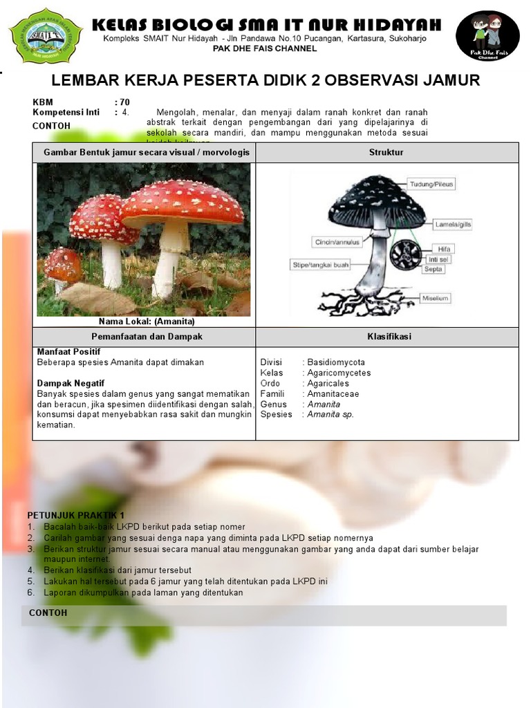 LKPD Jamur | PDF