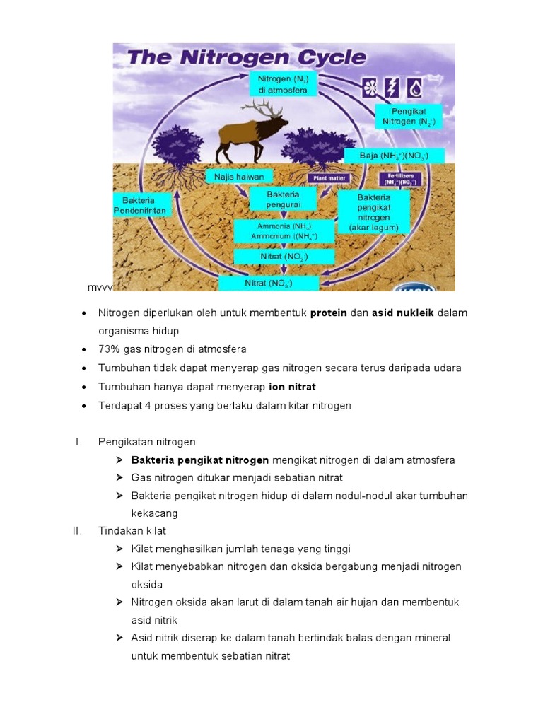 Kitar Nitrogen | PDF
