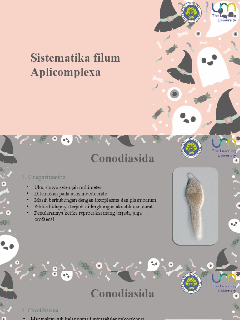Sistematika Klasifikasi Dan Fisiologi Apicomplexa | PDF | Sains ...