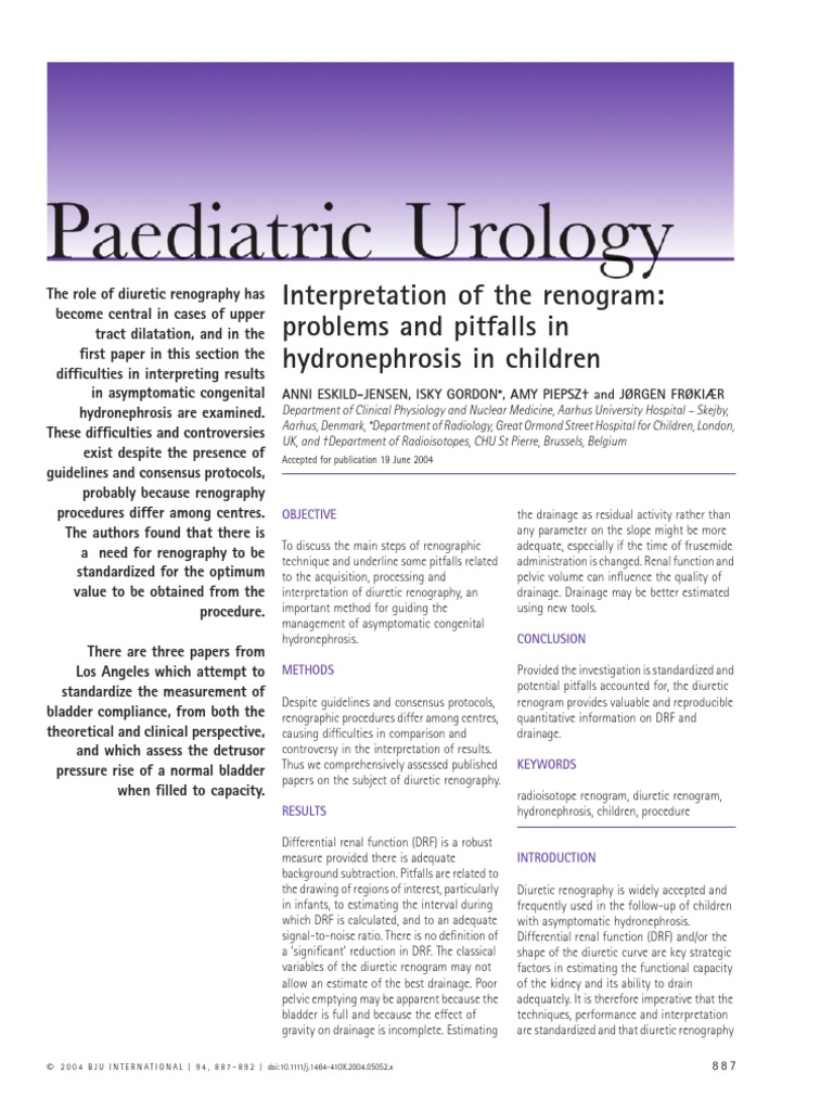 Interpretation of Renogram | PDF | Kidney | Urinary System