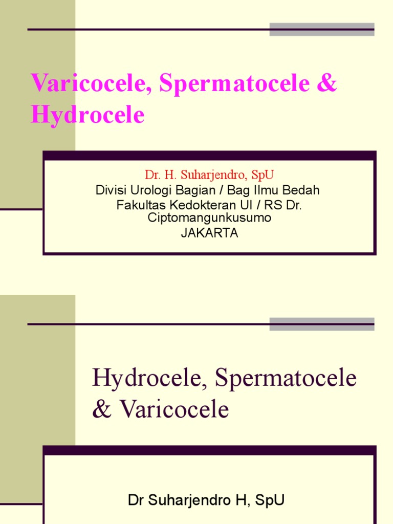 Varicocele Spermatocele Hydrocele Pdf Genitourinary System