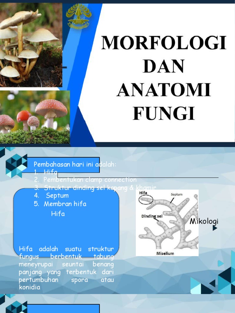 Morfologi Dan Anatomi Fungi Pdf