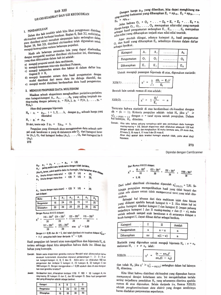 Bab 13 Sudjana | PDF