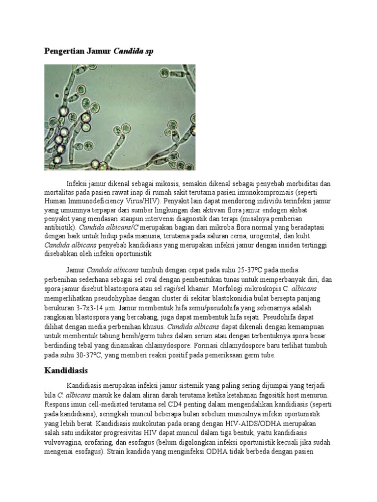 Pengertian dan Gejala Kandidiasis | PDF | Sains & Matematika