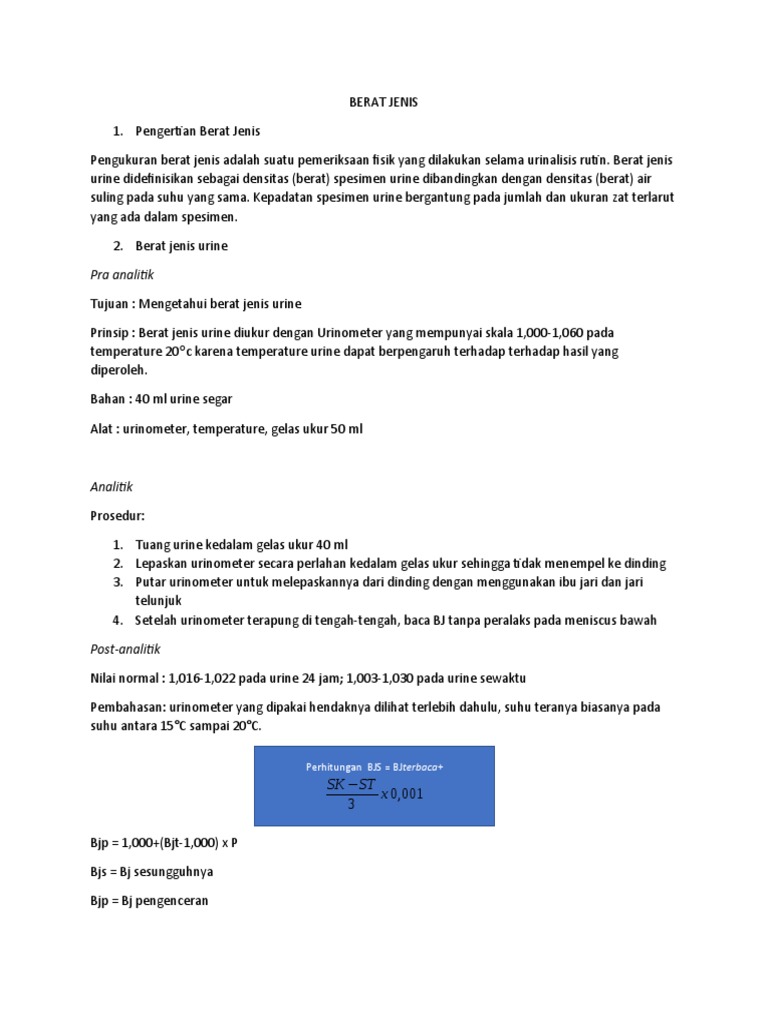 Berat Jenis | PDF