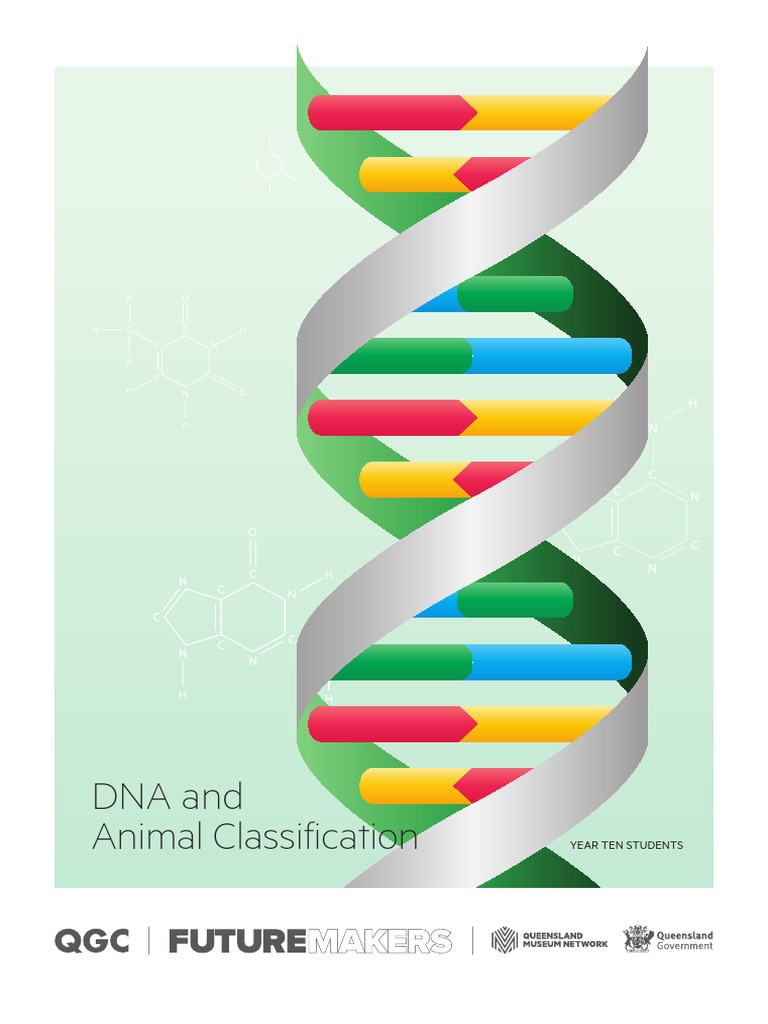 DNA and Animal Classification: Year Ten Students | Download Free PDF ...