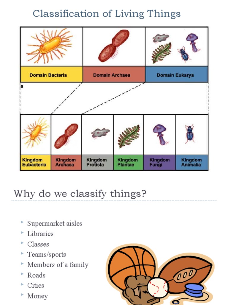 Classification of Living Things | PDF | Taxonomy (Biology) | Taxa