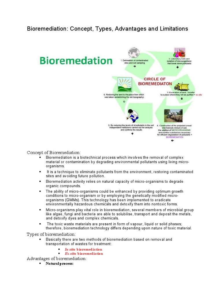 Bioremediation: Concept, Types, Advantages and Limitations | PDF ...