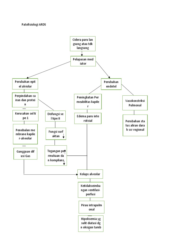 Patofisiologi ARDS | PDF