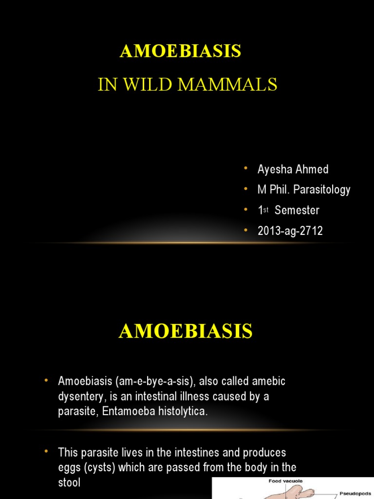 Amoebiasis in Wild Mammals: Ayesha Ahmed M Phil. Parasitology 1 ...
