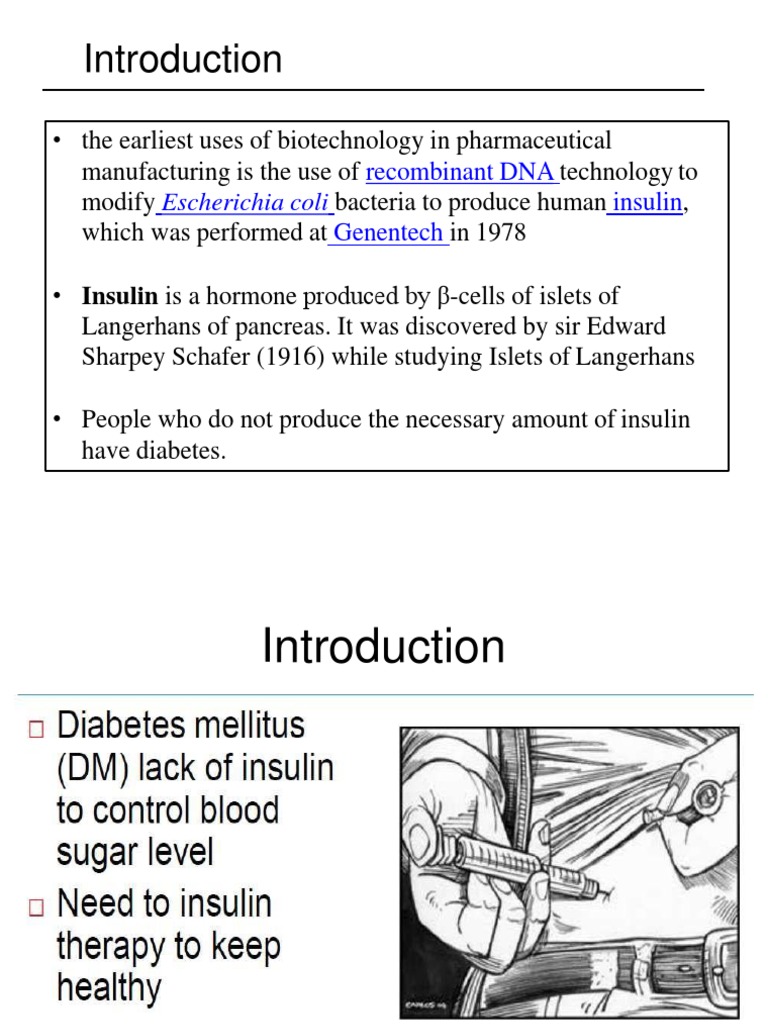 Production of Insulin Through Recombinant DNA Technology in ...