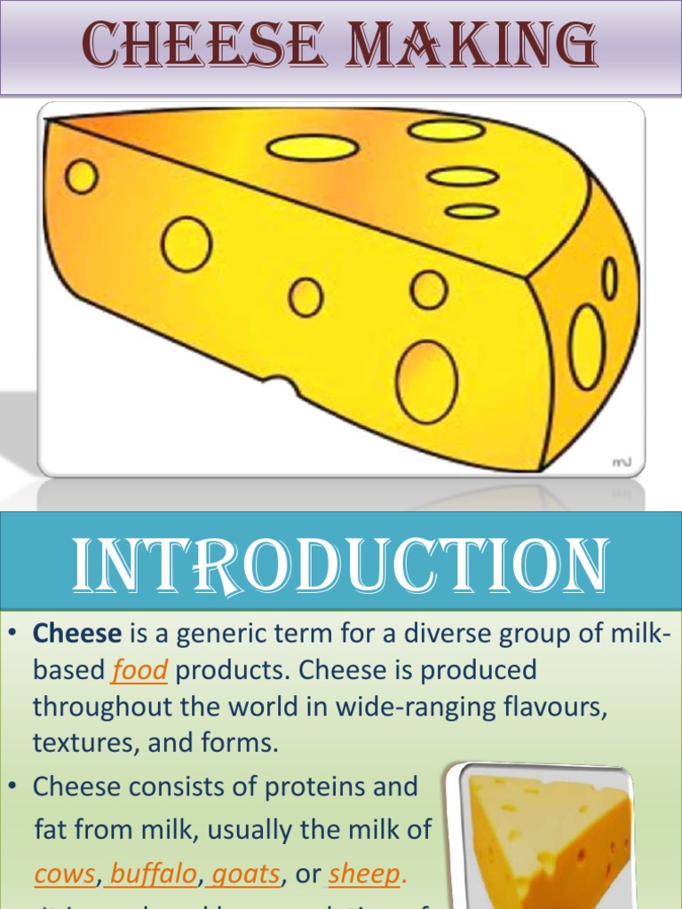 Cheesemaking Pdf Cheese Cheesemaking