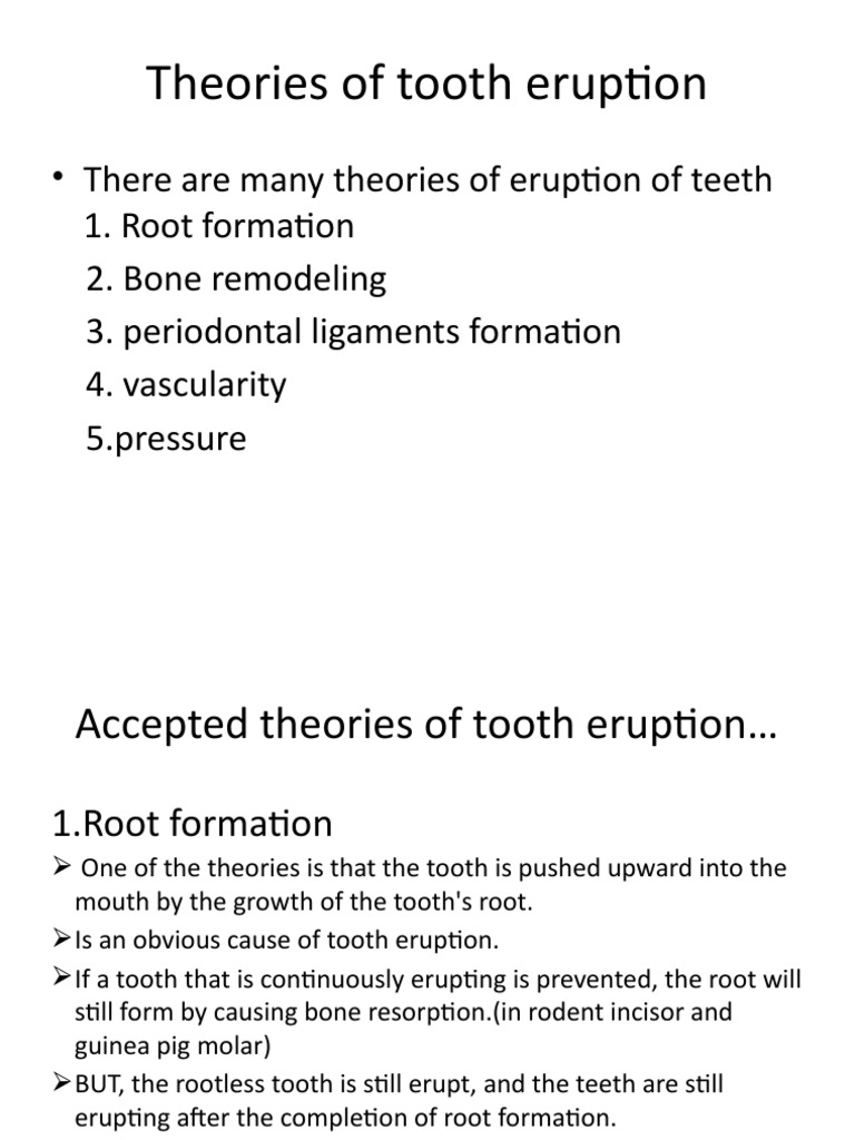 Theories Of Tooth Eruption For Shahid Pdf Human Tooth Medical