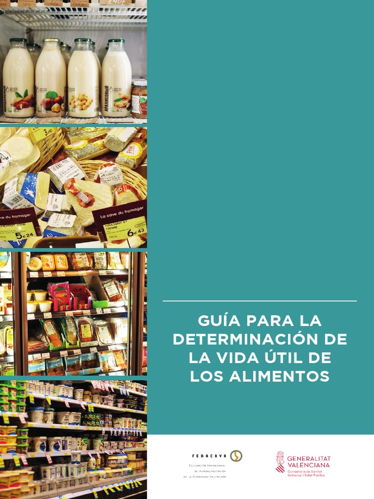 Guia Determinación Vida Útil 2020 | PDF | Análisis de Riesgo y Puntos Críticos de Control ...