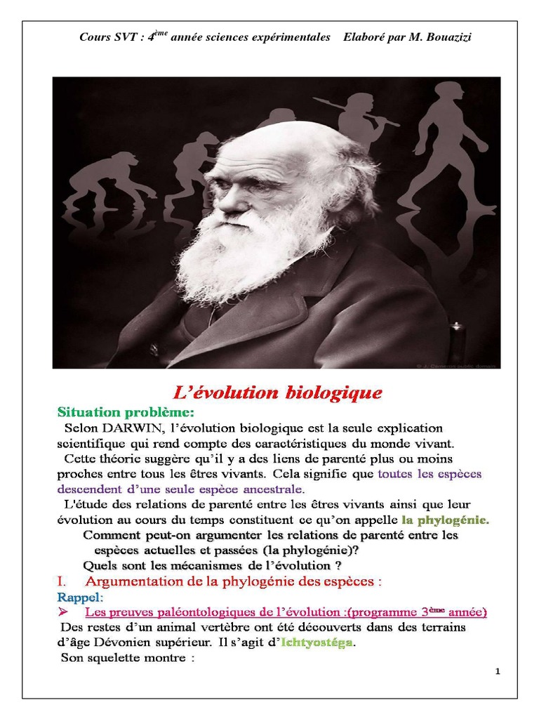Cours SVT: 4 Année Sciences Expérimentales Elaboré Par M. Bouazizi | PDF