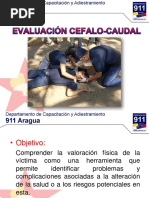 Protocolo MARCH TASTICO | PDF