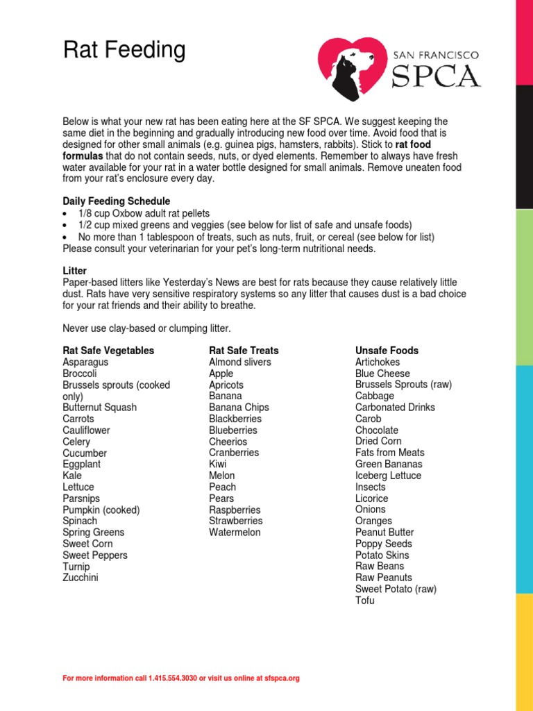Rat Feeding: Formulas That Do Not Contain Seeds, Nuts, or Dyed Elements ...