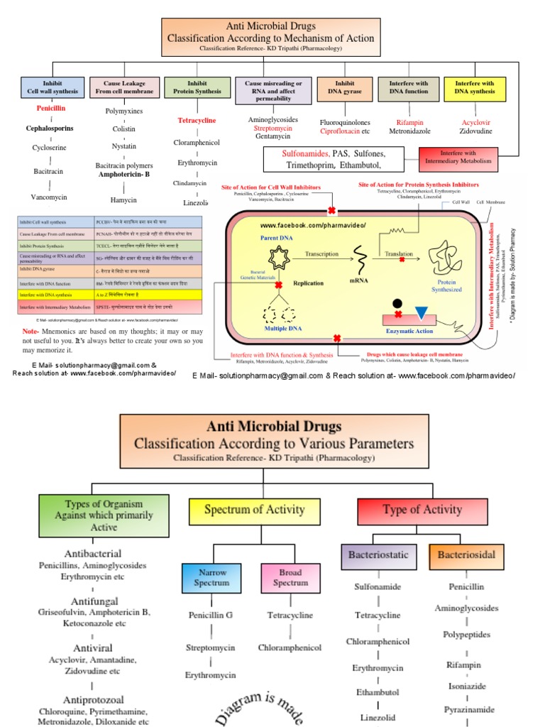Antibiotics Classification According To Mechanism Of Action