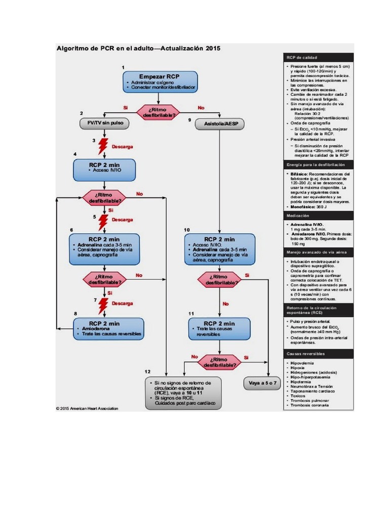 Algoritmo de PCR en El Adulto-Actualización 2015 | PDF