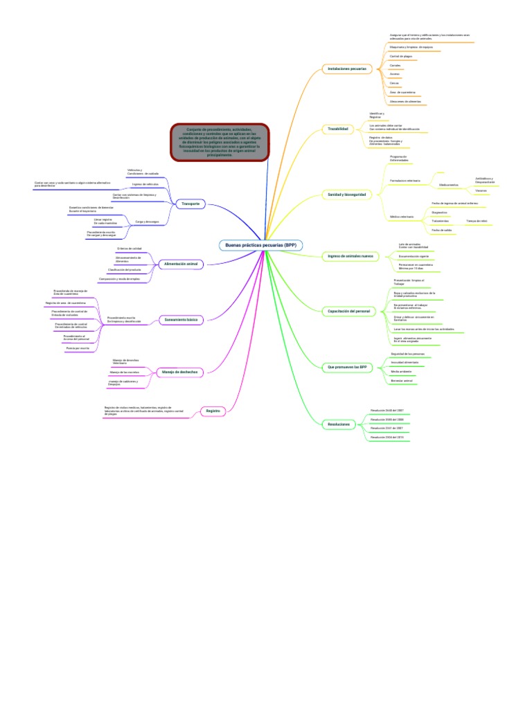 Mapa Mental BPP - 202115 - 19548 | PDF | Alimentos | Ciencias de la Salud