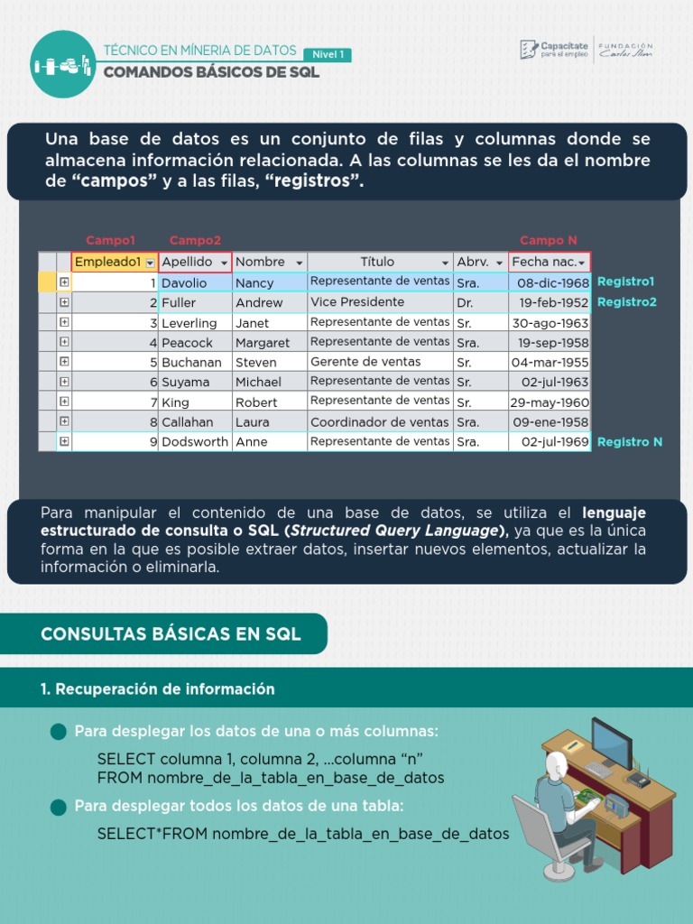 Comandos Basicos de SQL | PDF | SQL | Herramientas de programación