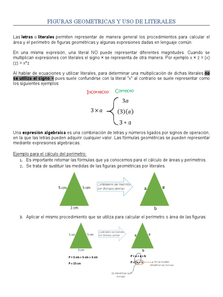 Ecuaciones Y Literales En Geometría Pdf