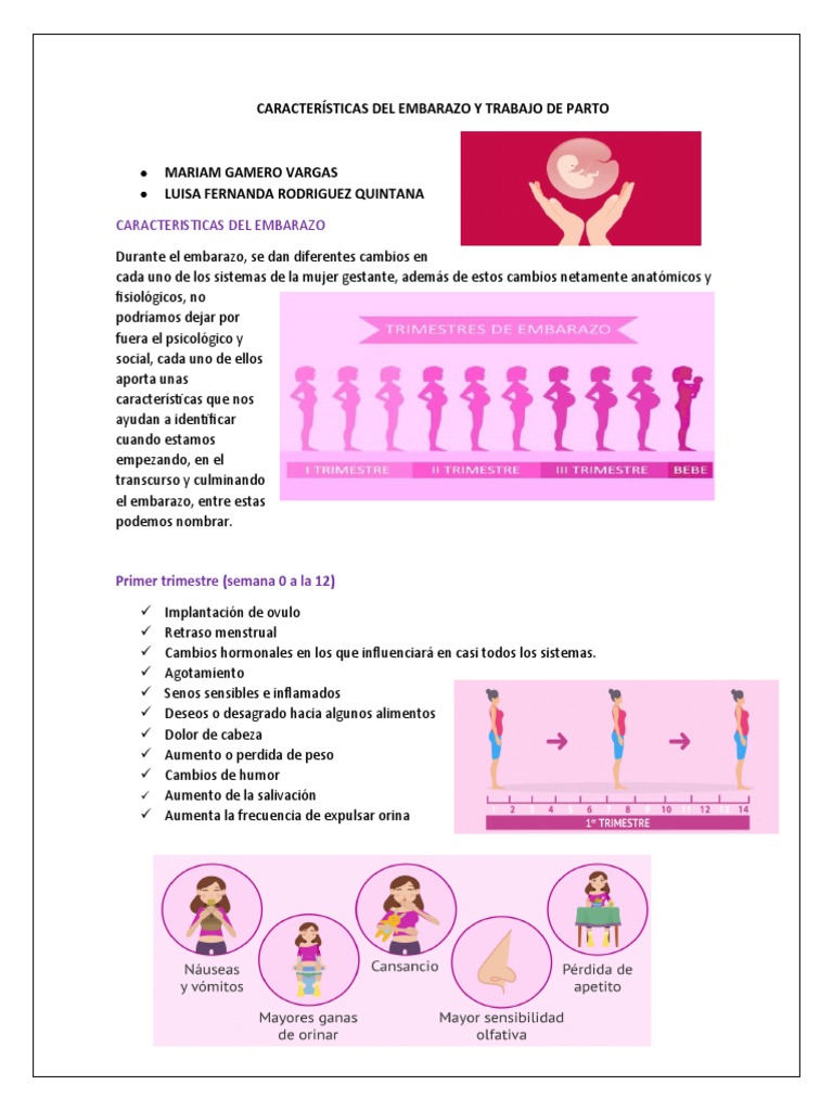 Características Del Embarazo y Trabajo de Parto | Descargar gratis PDF | Parto | El embarazo