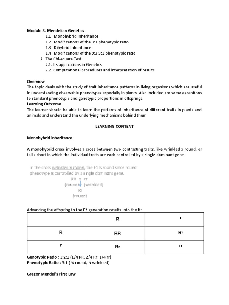 Module 3 | PDF | Dominance (Genetics) | Genetics
