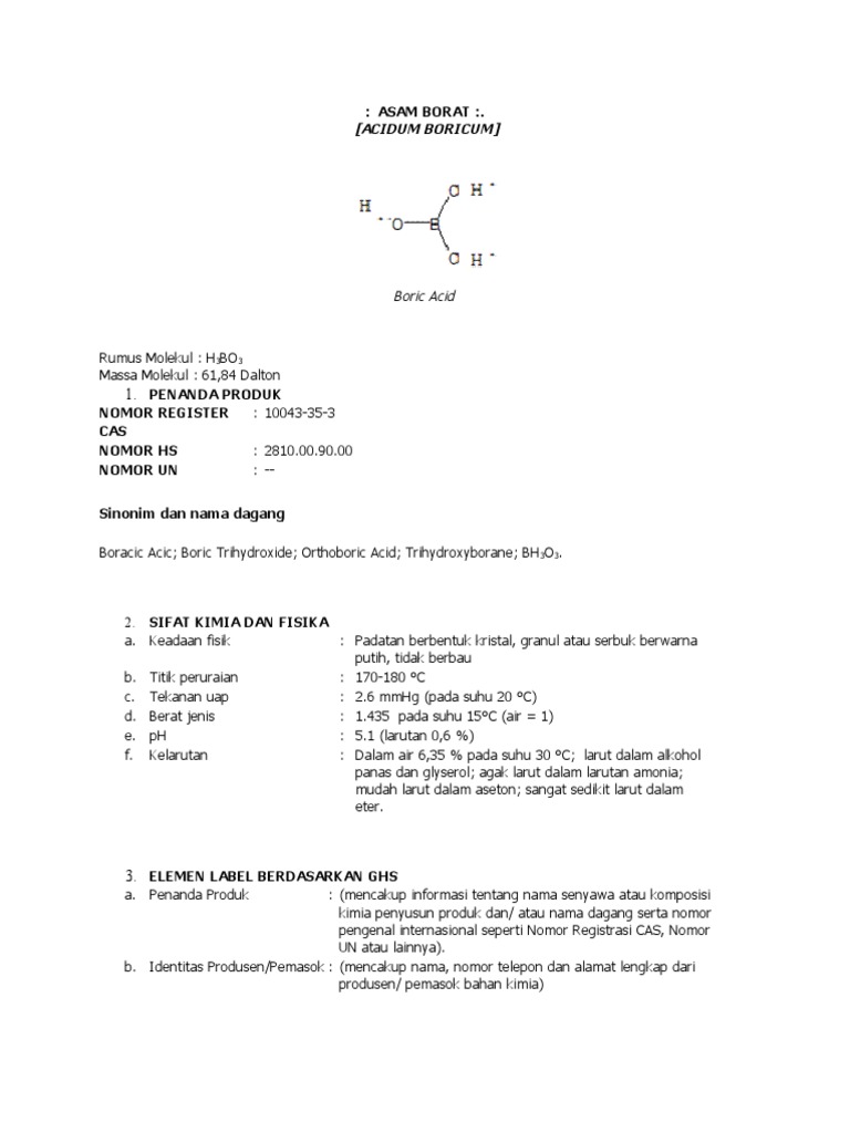 Asam Borat | PDF
