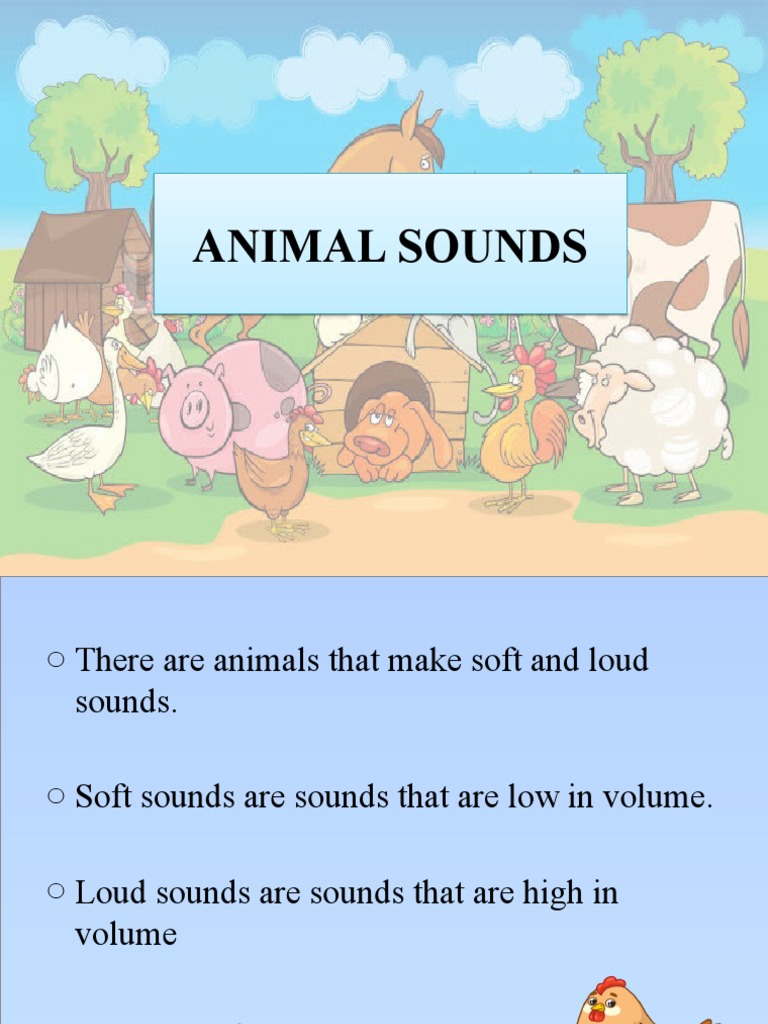 Animal Sounds | PDF