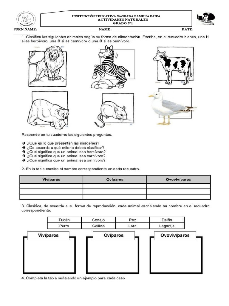 Actividad Naturales Alimentacion Animales | PDF