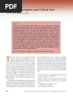 KamaSutra Positions | PDF | Human Reproduction