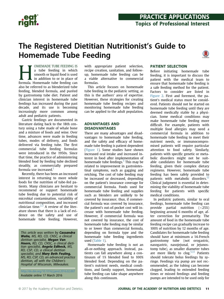 The Registered Dietitian Nutritionist Guide To Homemade Tube Feeding ...