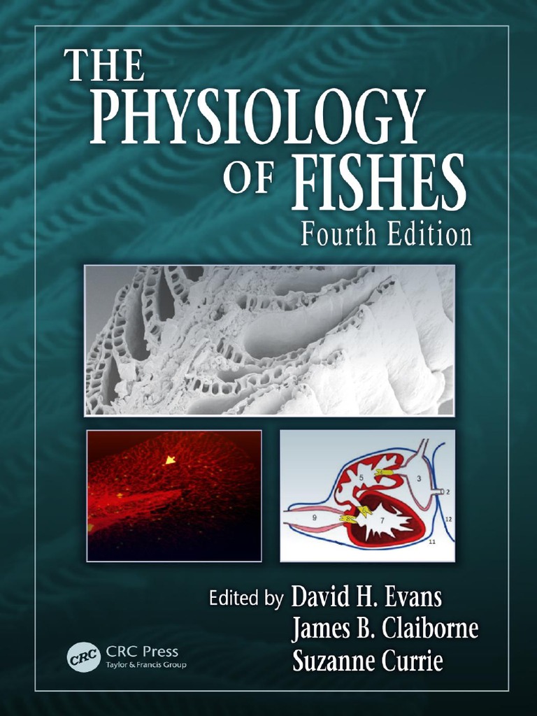 The Physiology of Fishes - 2014 | PDF | Signal Transduction | Cell ...